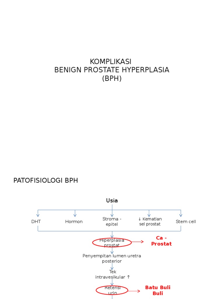 Komplikasi BPH | PDF