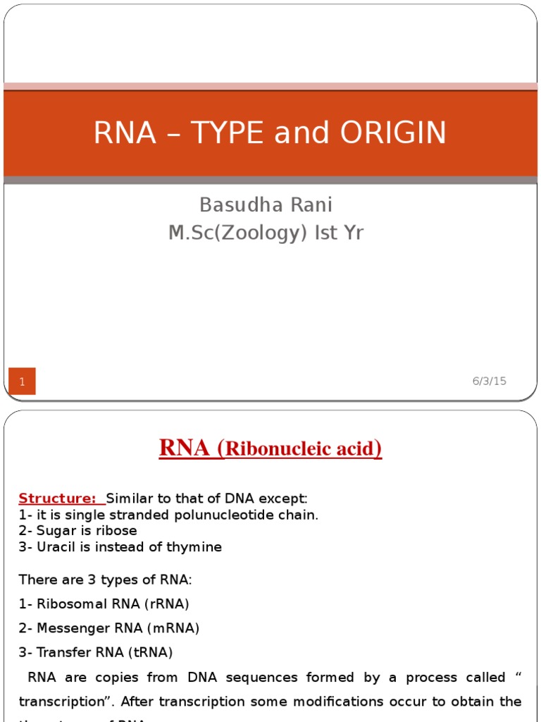 RNA | PDF | Rna | Biosynthesis