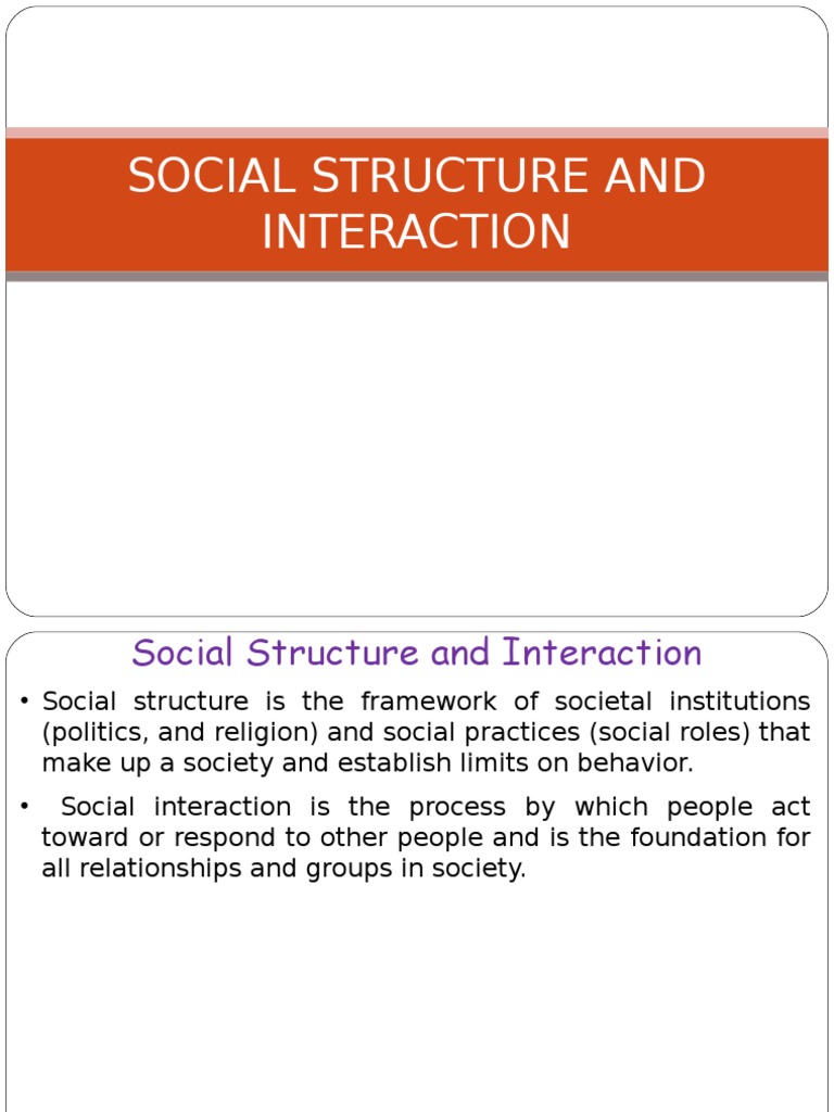 Social Structure and Interaction | PDF | Social Stratification | Social ...