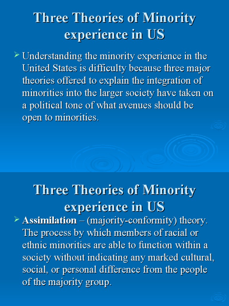 Three Theories of Minority Experience | PDF