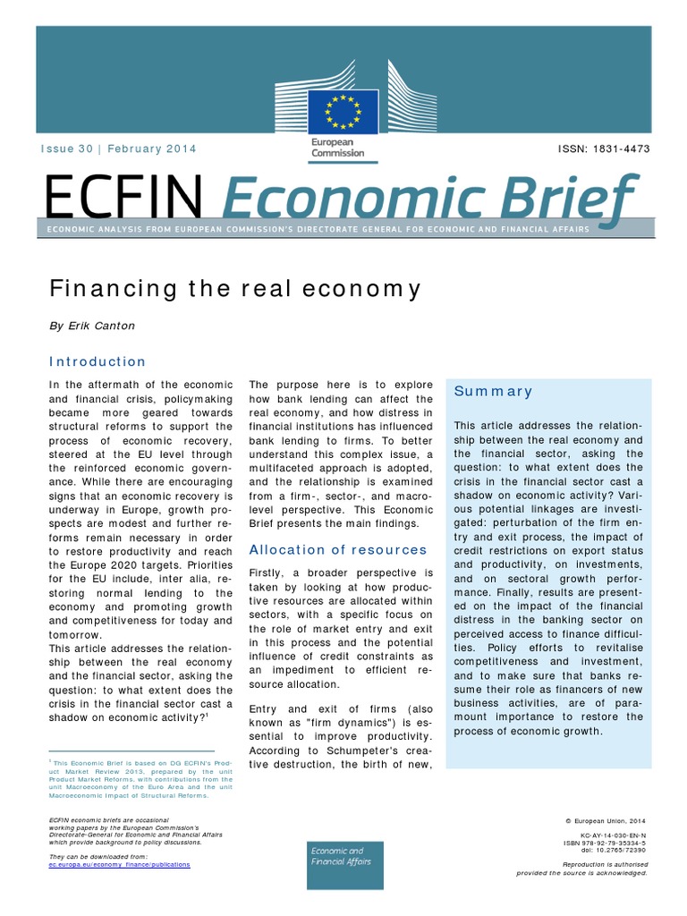 Financing The Real Economy: Issue 30 - February 2014 | PDF | Access To ...