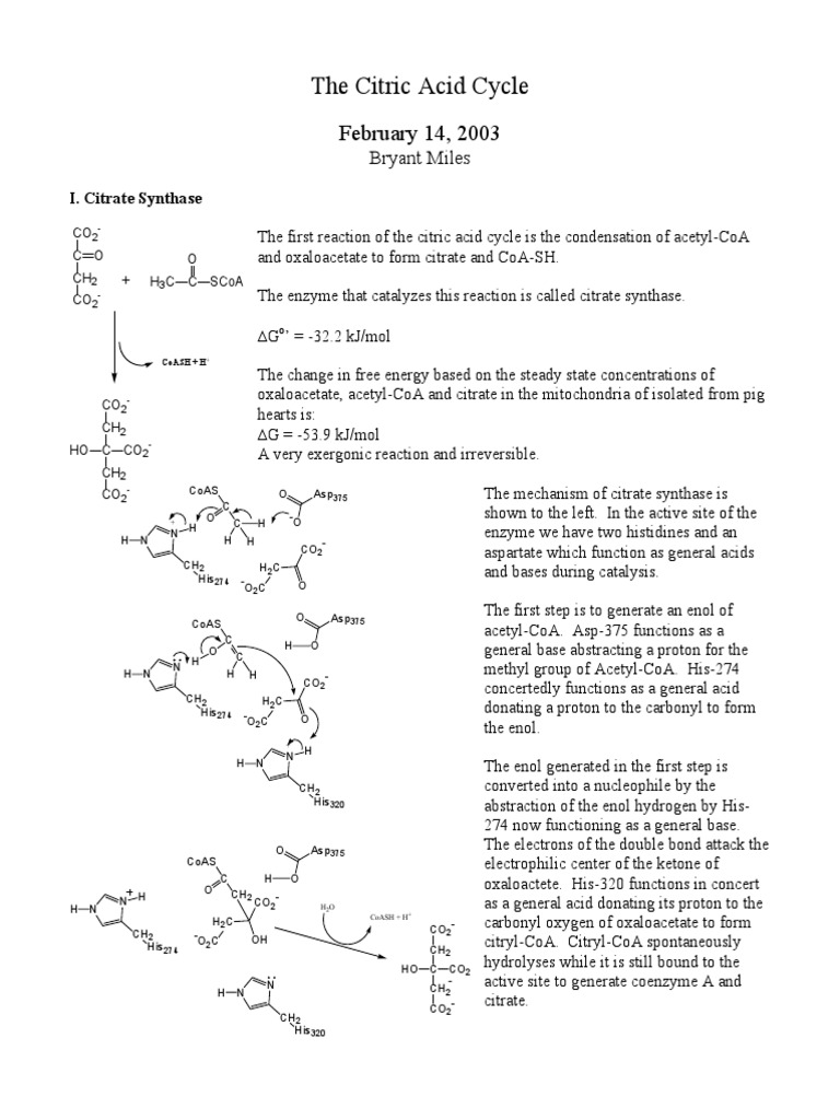 Biochem CITRIC | PDF | Citric Acid Cycle | Diet & Nutrition