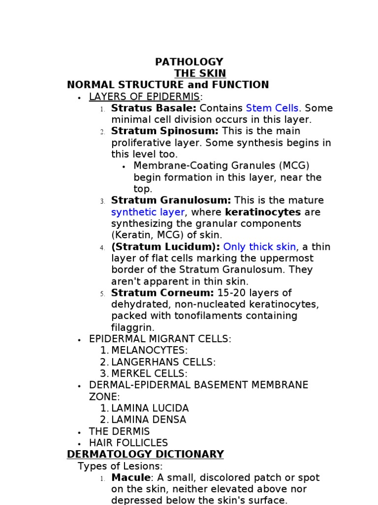 Skin Path Notes | PDF | Melanoma | Epidermis