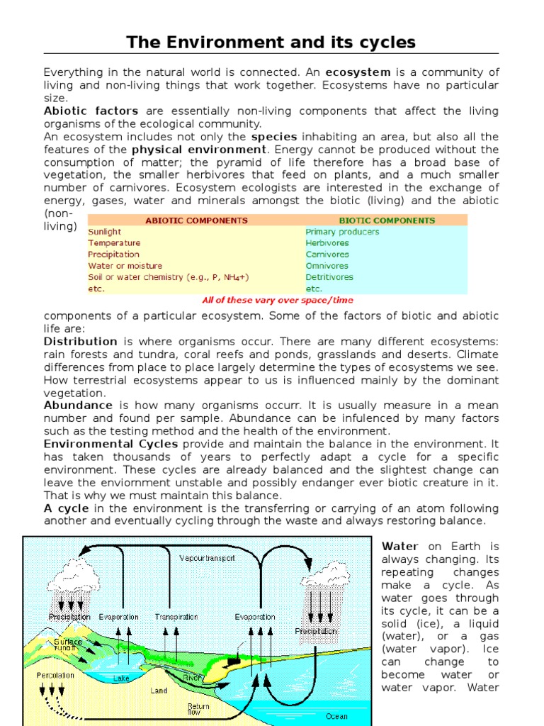 The Environment and Its Cycles | PDF | Ecosystem | Carbon Cycle