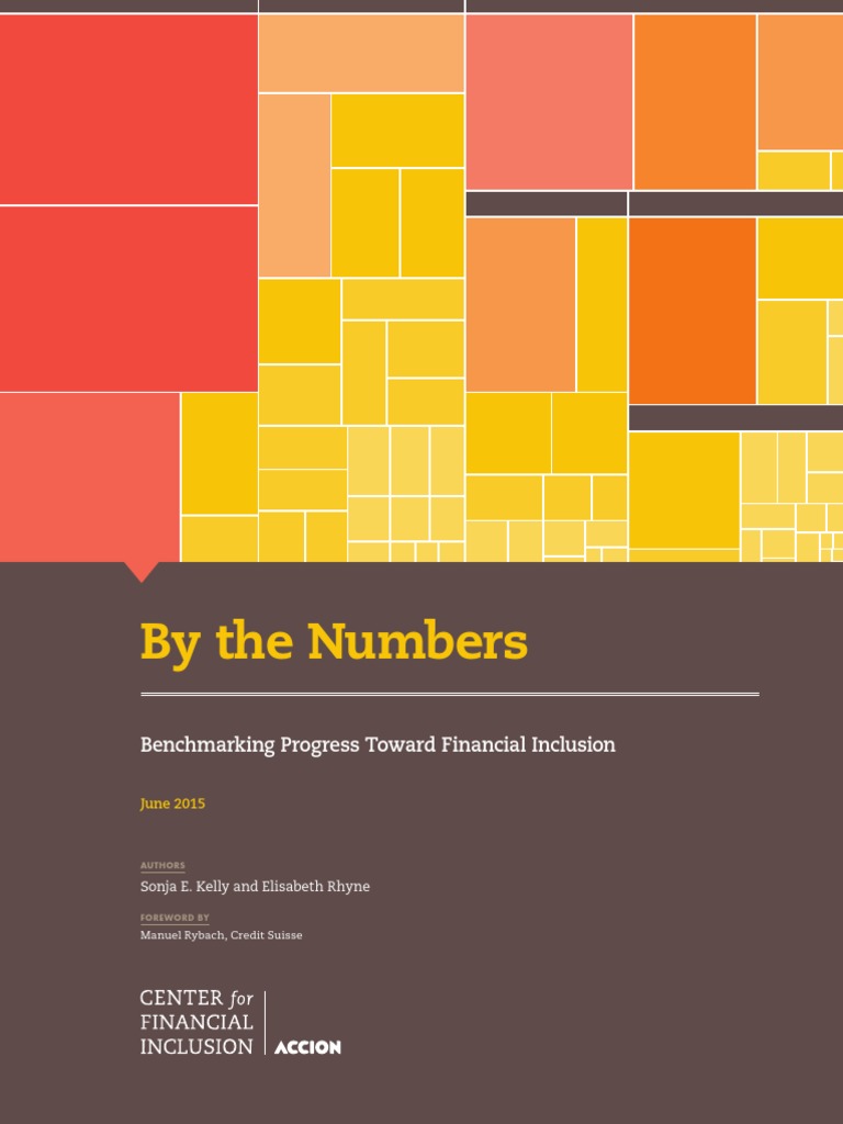 By The Numbers: Benchmarking Progress Toward Financial Inclusion | PDF ...
