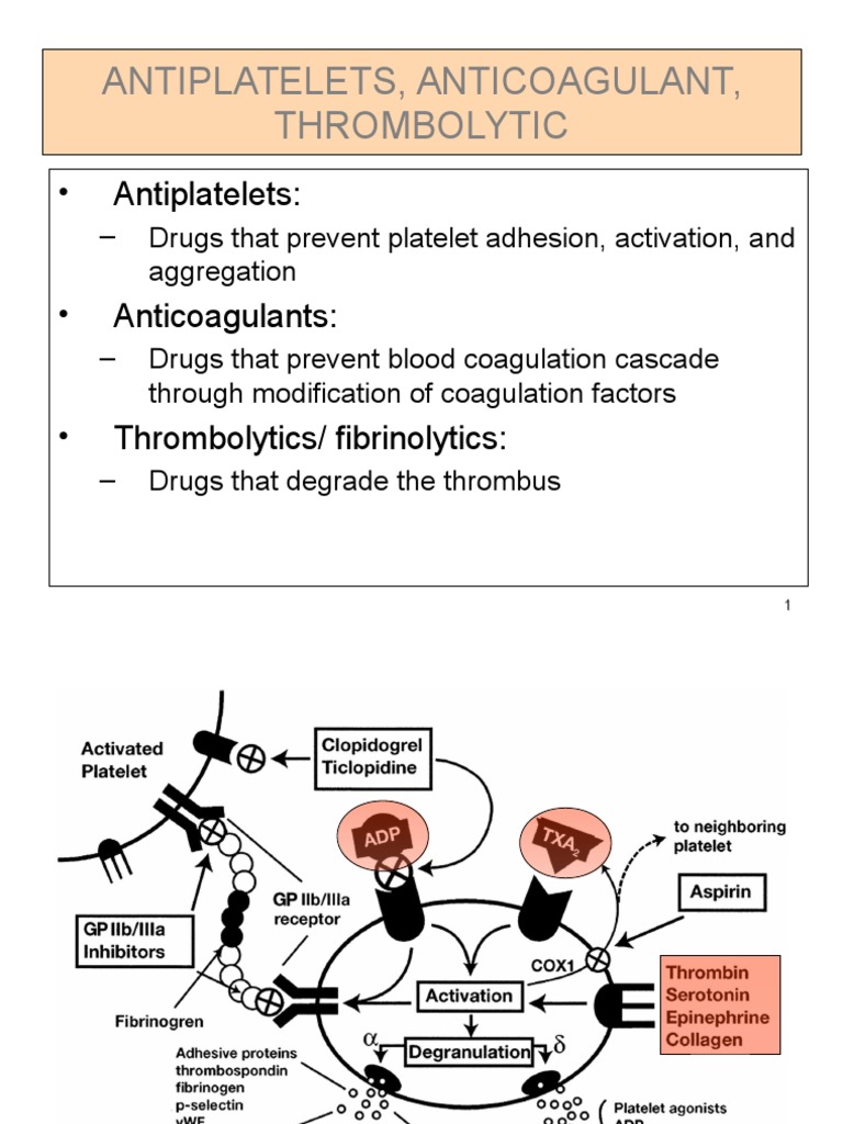 Perbedaan Antiplatelet dan Antikoagulan | PDF | Coagulation | Platelet