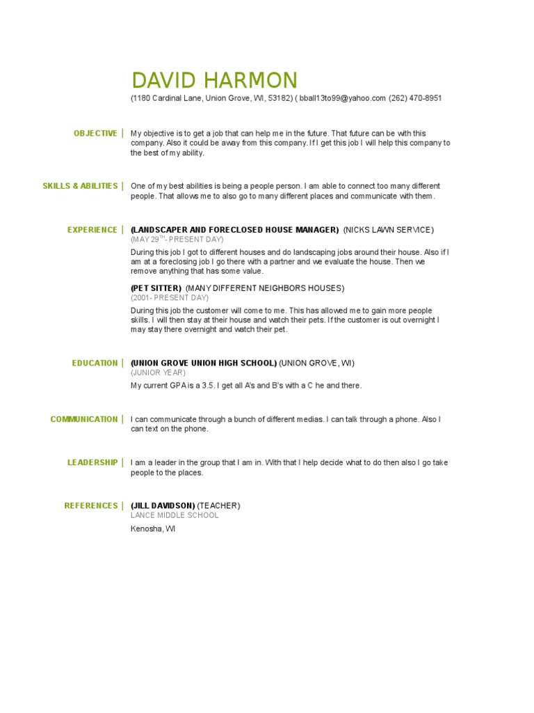 David Resume | PDF | Business