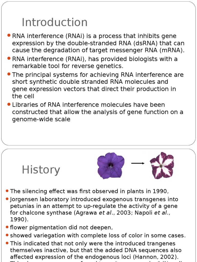 Application of RNAi in Plants | PDF | Rna Interference | Sense ...