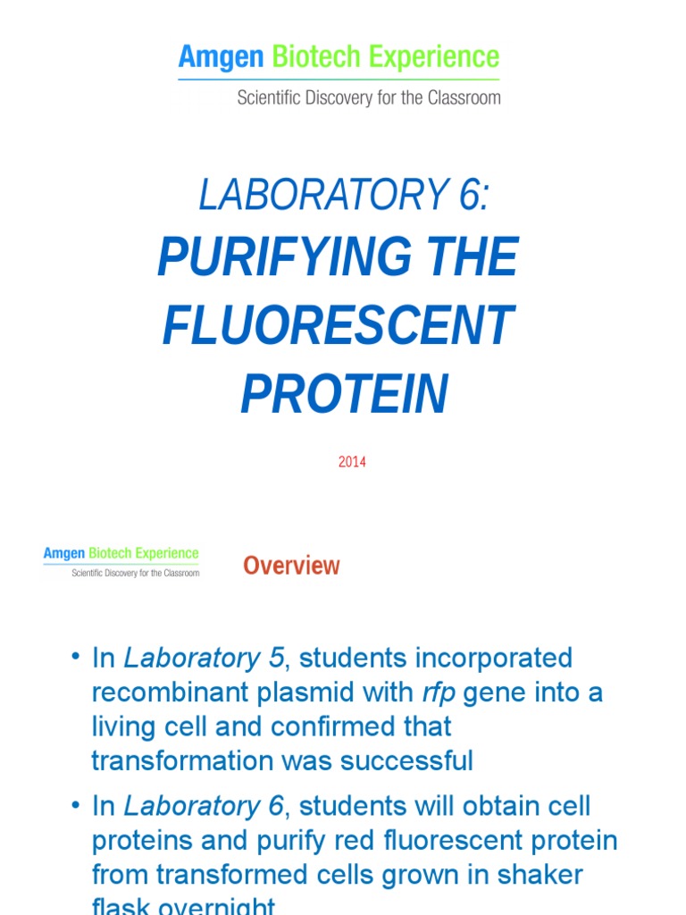 Abe Lab 6 Protein Purification | PDF | Lysis | Protein Purification