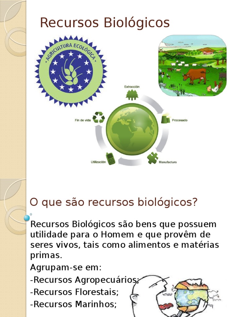 Recursos Biológicos | PDF | Papel | Mar