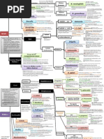USMLE Study Pack by MedSchoolBro | PDF | Learning | Cognition