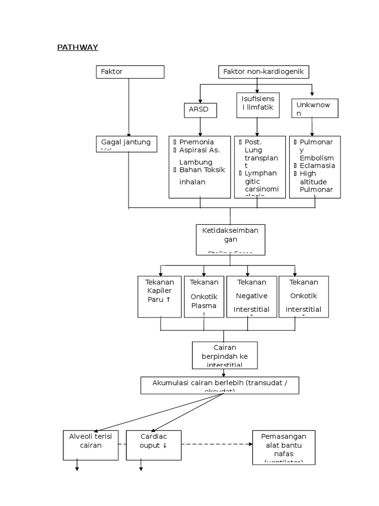 Pathway Edema Paru | PDF