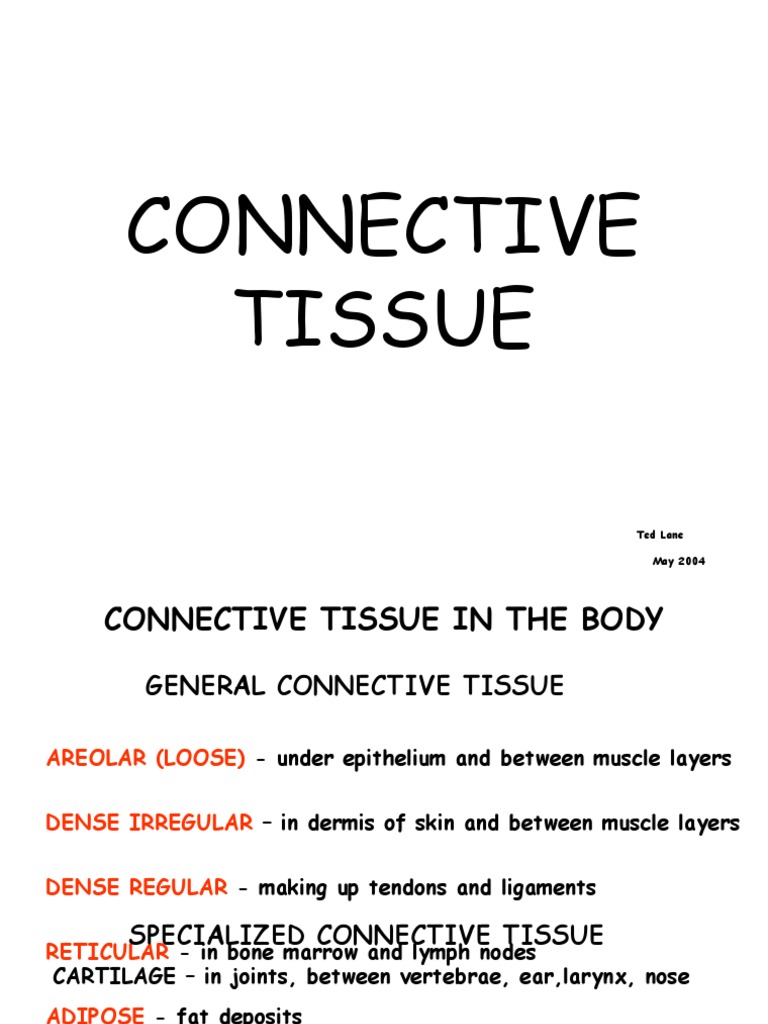 General Connective Tissue | PDF | Connective Tissue | Tissue (Biology)