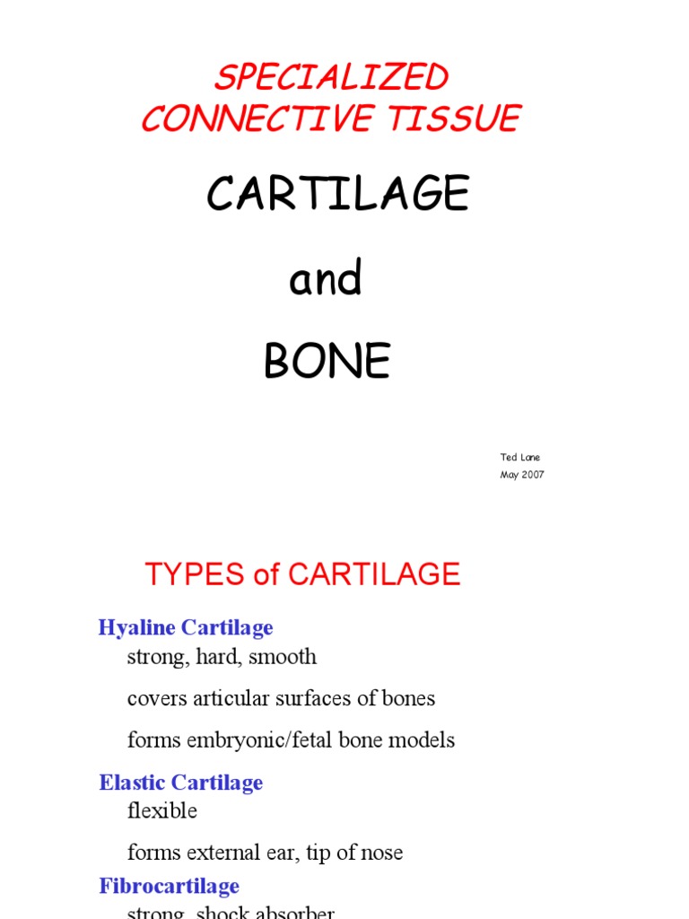 Specialized Connective Tissue: Cartilage and Bone | PDF | Bone | Cartilage