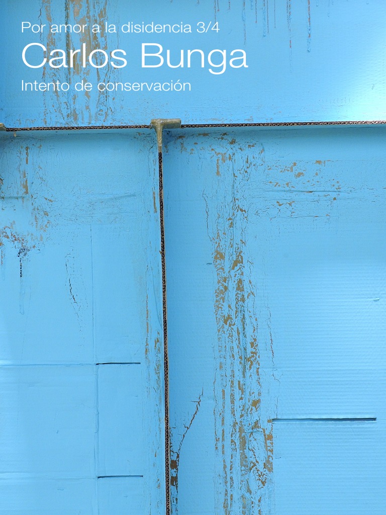 Carlos Bunga | PDF | Arte contemporáneo | Museo