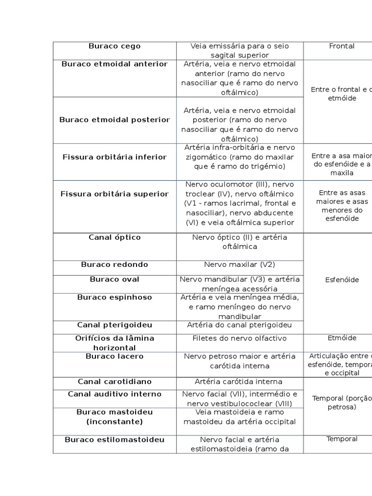Anatomia dos Forames Cranianos | PDF | Sistema Locomotor | Sistema ...