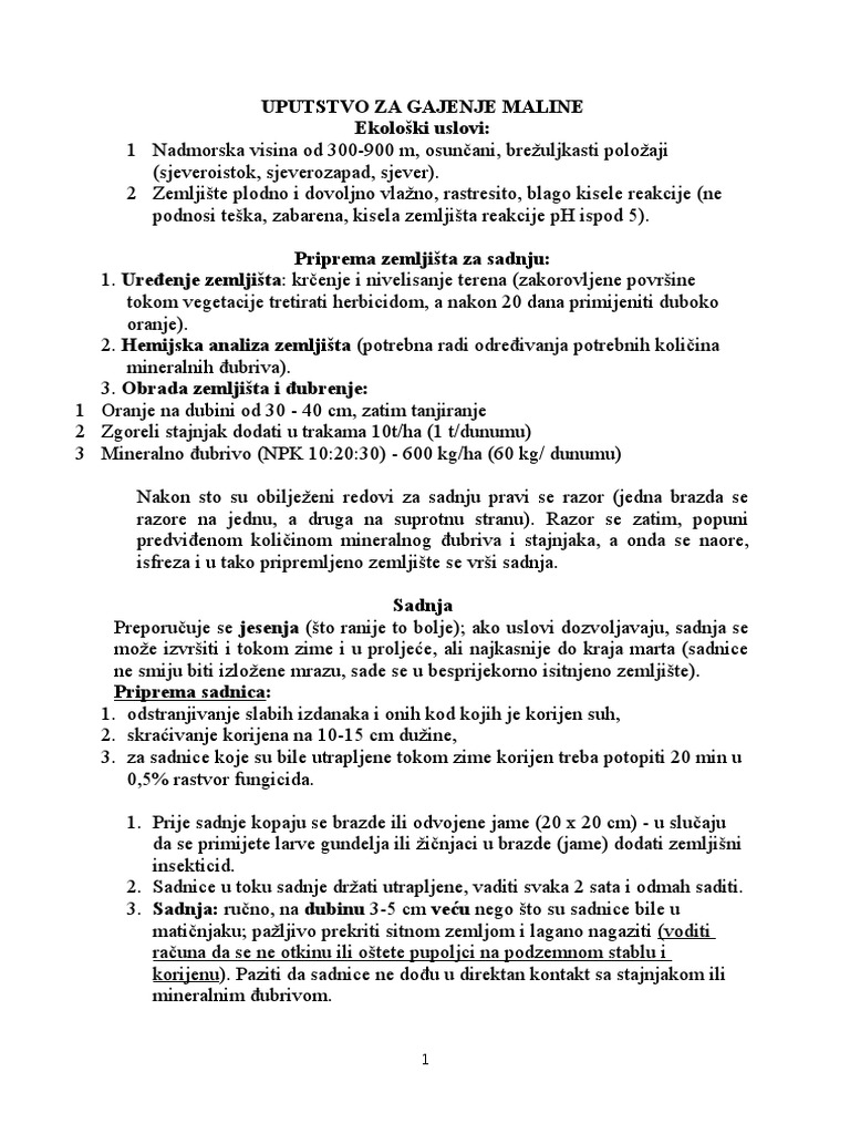 Uputstvo Za Gajenje Maline | PDF