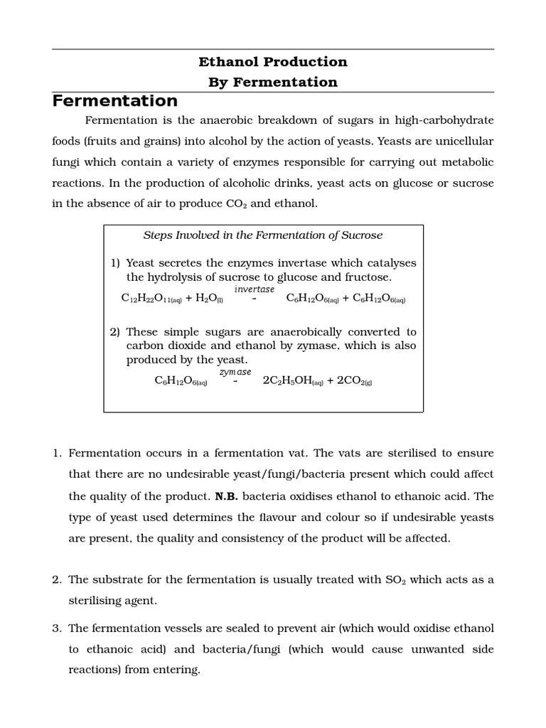 Ethanol Production via Fermentation Process | PDF | Fermentation | Ethanol