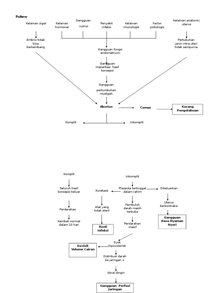 Pathway Abortus | PDF
