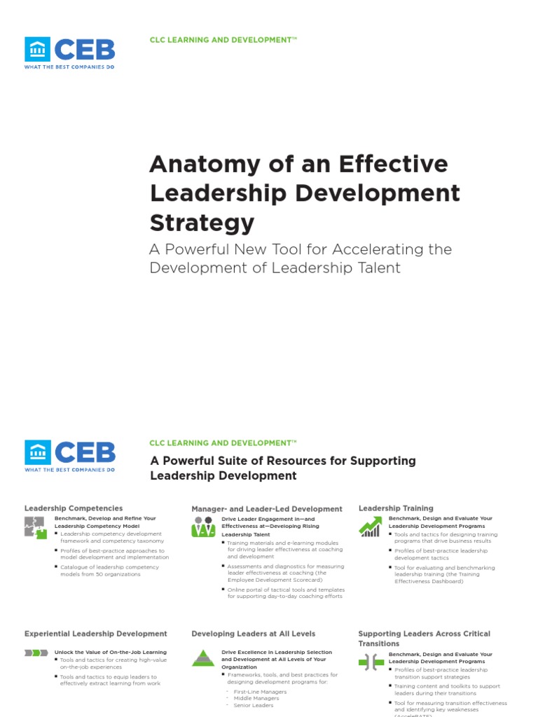Anatomy of An Effective Leadership Development Strategy | PDF ...