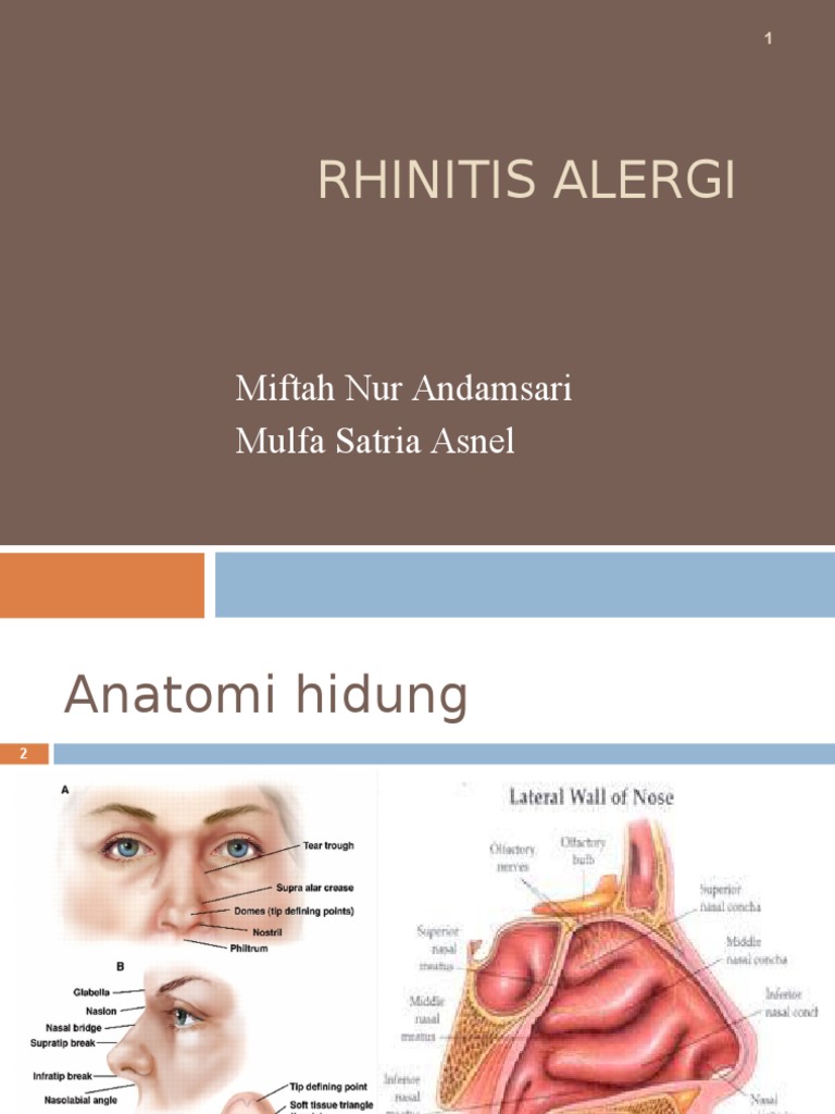 Rhinitis Alergi: Patofisiologi, Gejala Klinis, Diagnosa dan ...