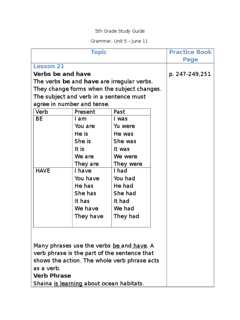 5th Grade Study Guide, Unit 5 Grammar | PDF | Grammatical Tense | Verb