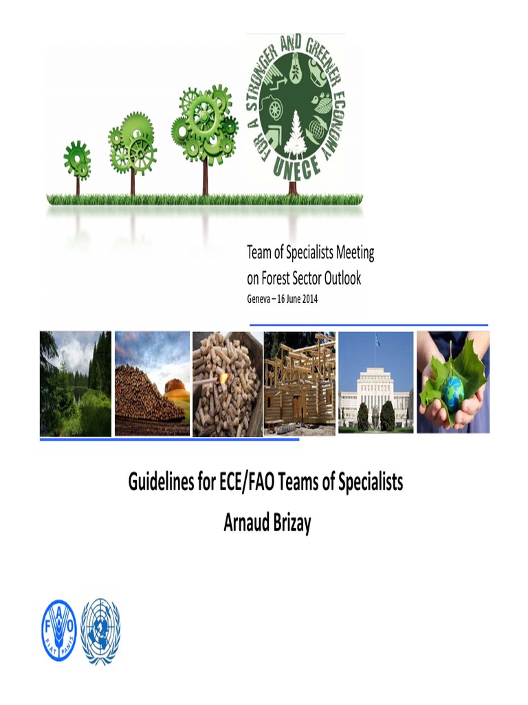 ToS Guidelines | PDF | Green Job | Food And Agriculture Organization