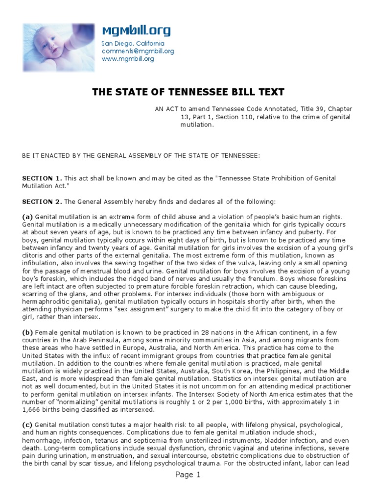 Tennessee Mgm Bill 2013 Pdf Female Genital Mutilation Clitoris