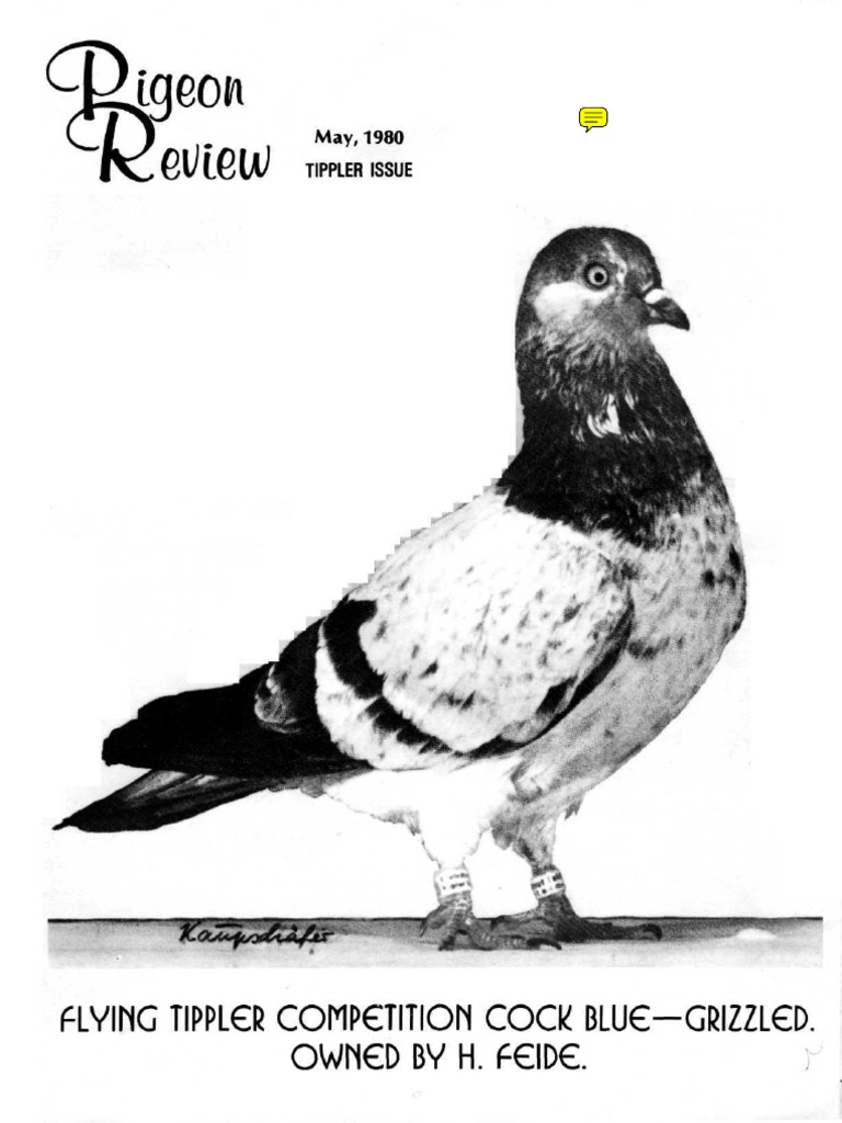 American Tippler Union Review 1980 | PDF