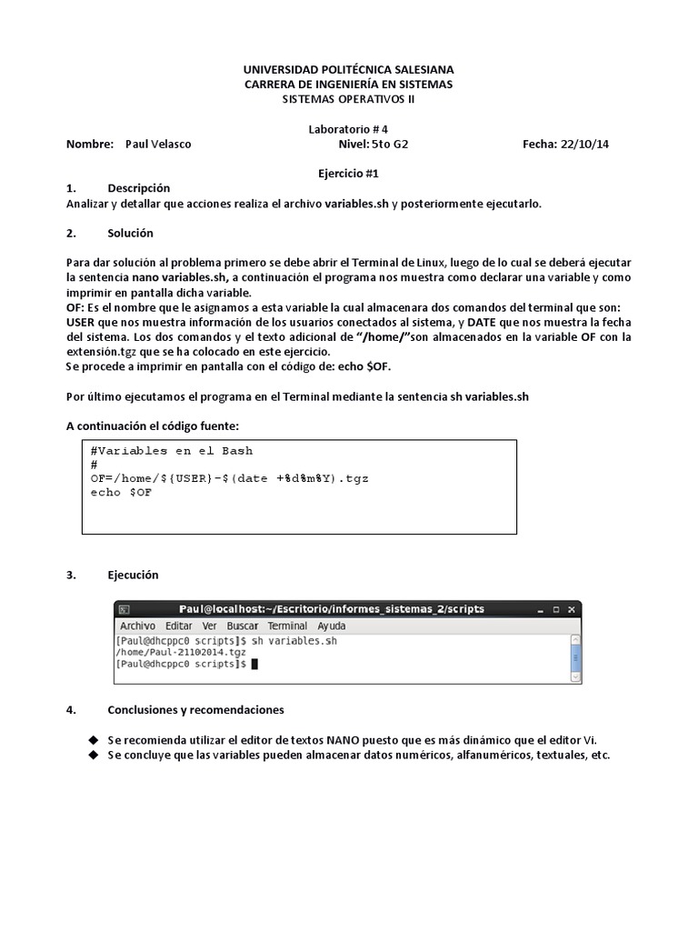 Comandos Basicos en Shell | PDF | Programa de computadora | Programación
