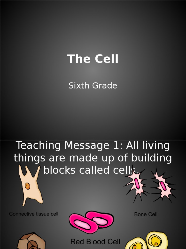 The Cell: Sixth Grade | PDF | Mitosis | Cell (Biology)