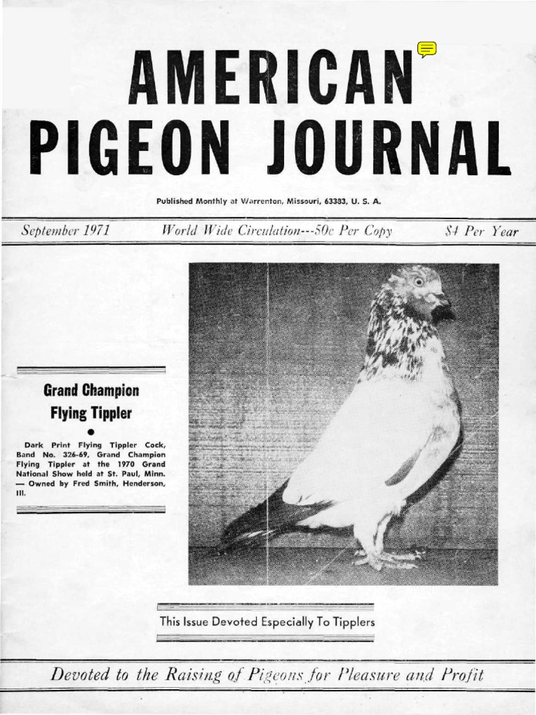 American Pigeon Journal-1971 | PDF
