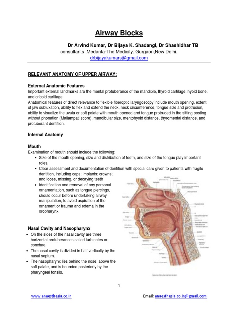 Airway Blocks | Larynx | Animal Anatomy