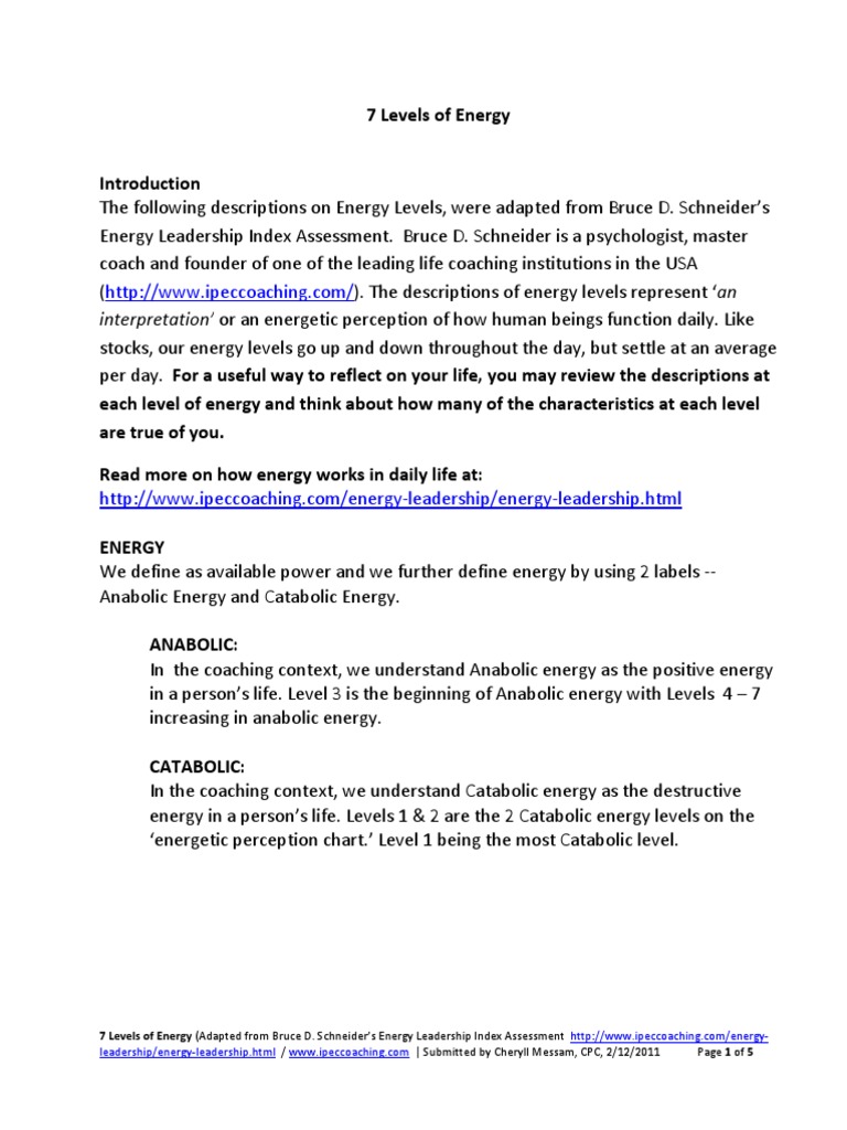 7 Levels of Energy | PDF | Emotions | Leadership