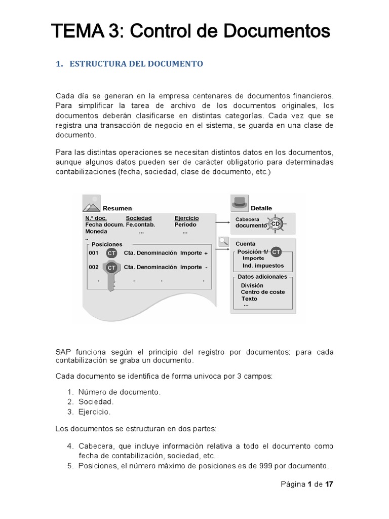Estructura y parametrización de los documentos en SAP | PDF | Documento ...