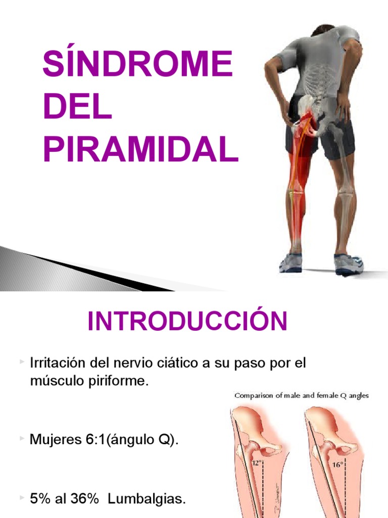 Manual Sobre El Sindrome Del Piramidal | Dolor lumbar | Nalgas