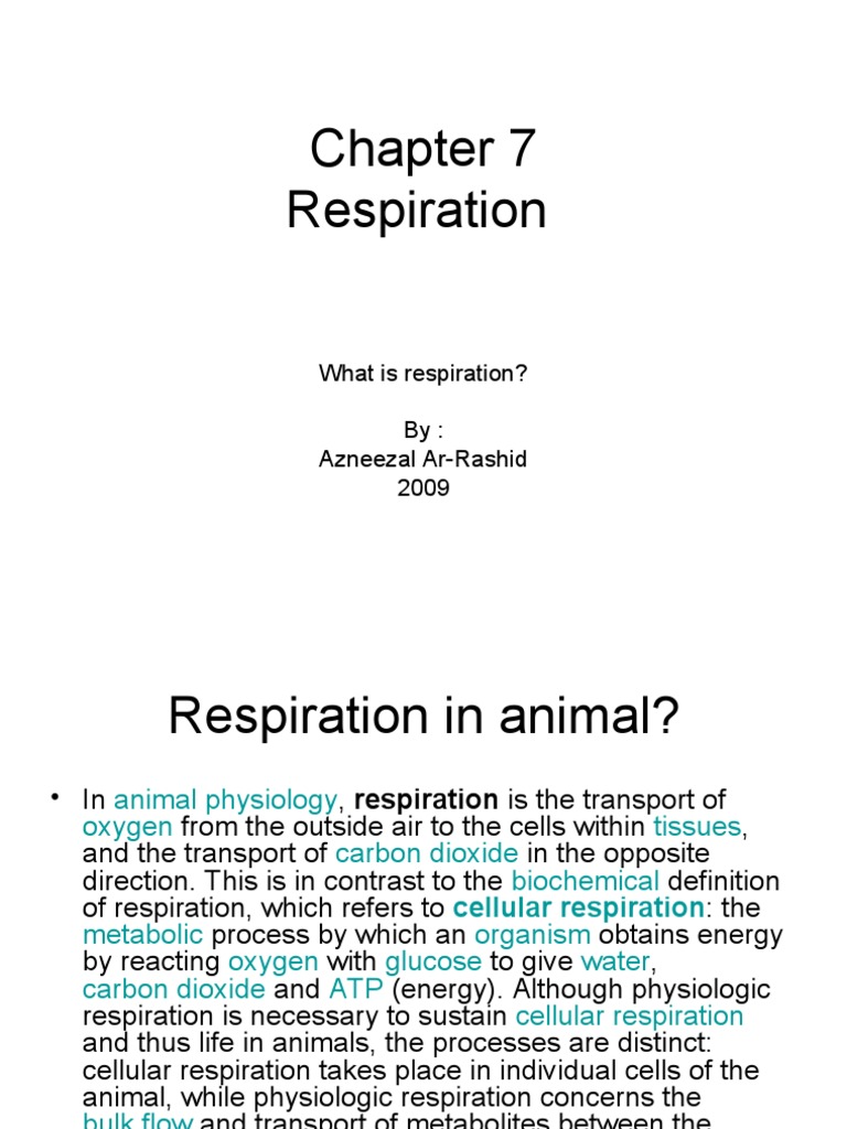 Introduction To Respiration | PDF | Cellular Respiration | Glycolysis