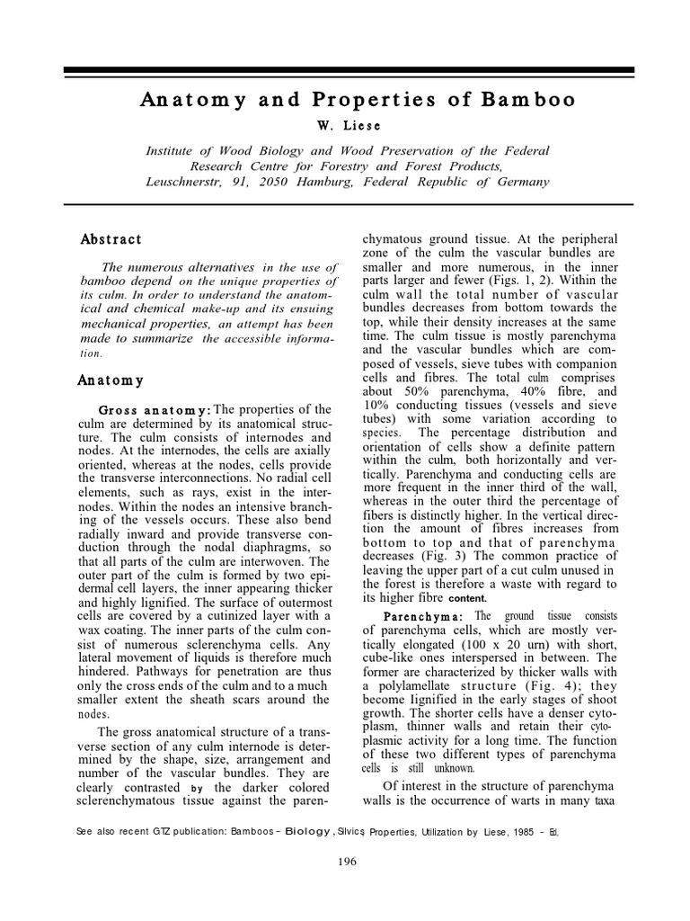 Anatomy and Structure of Bamboo | PDF | Tissue (Biology) | Bamboo