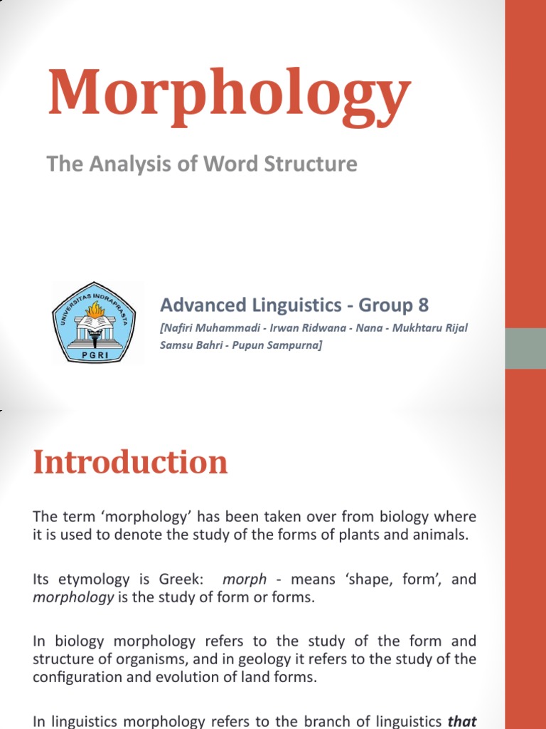MORPHOLOGY | PDF | Morphology (Linguistics) | Word