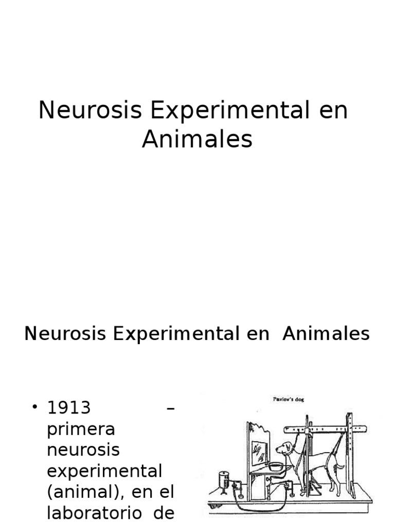 Neurosis Experimental en Animales | PDF | Neurosis | Especialidades Medicas