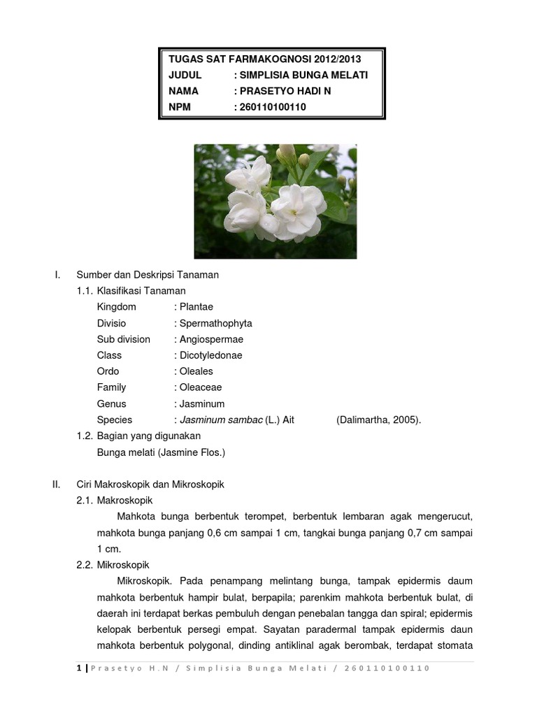 SIMPLISIA BUNGA MELATI | PDF