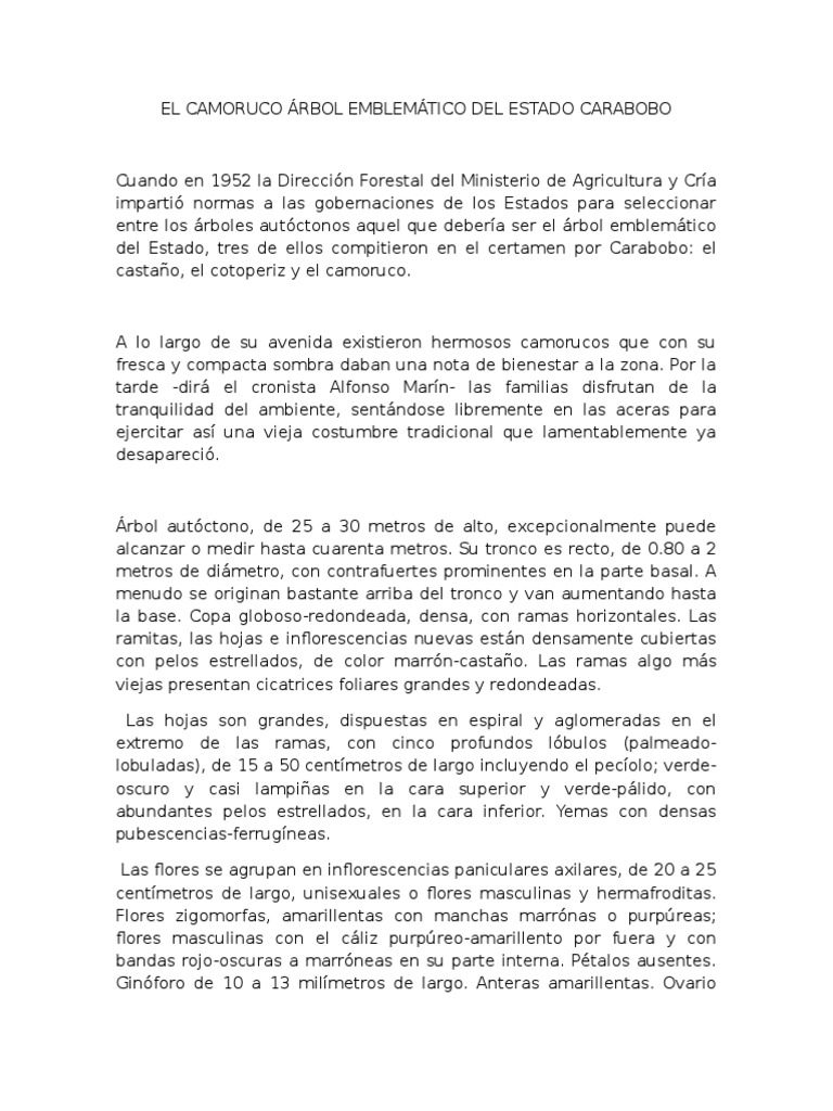 El Camoruco Árbol Emblemático Del Estado Carabobo | PDF | Arboles ...