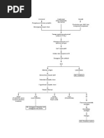 Pathway Dermatitis | PDF