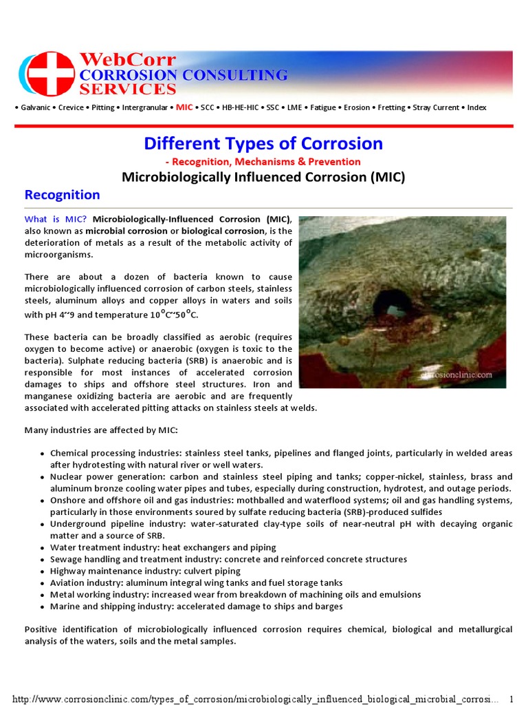 Different Forms of Corrosion - Microbiologically Influenced Corrosion ...