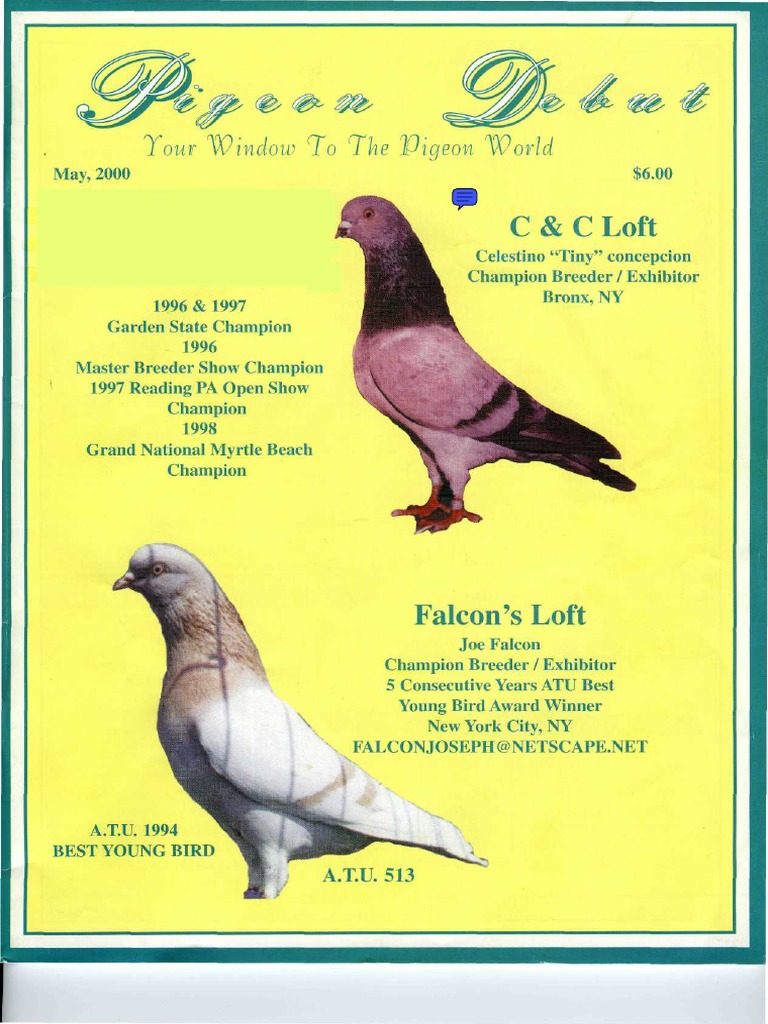 English Flying Tippler's Debut 2000 | PDF