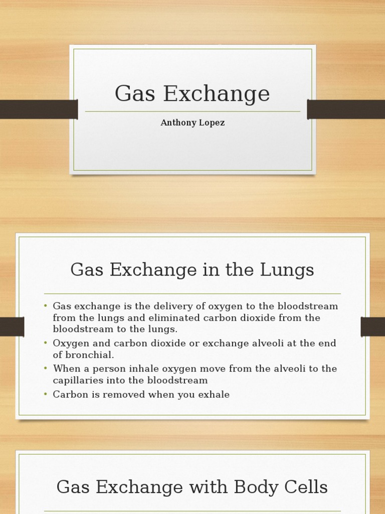 Gas Exchange | PDF