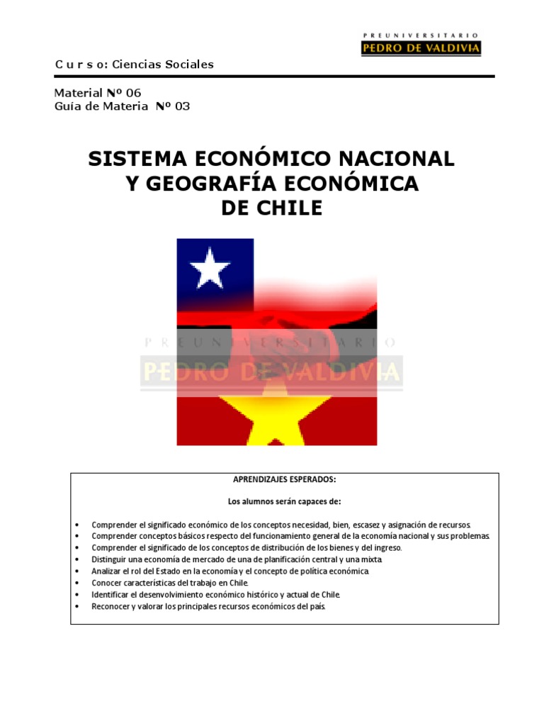 Sistema Económico Actual de Chile | PDF | Oferta (economía) | Inflación