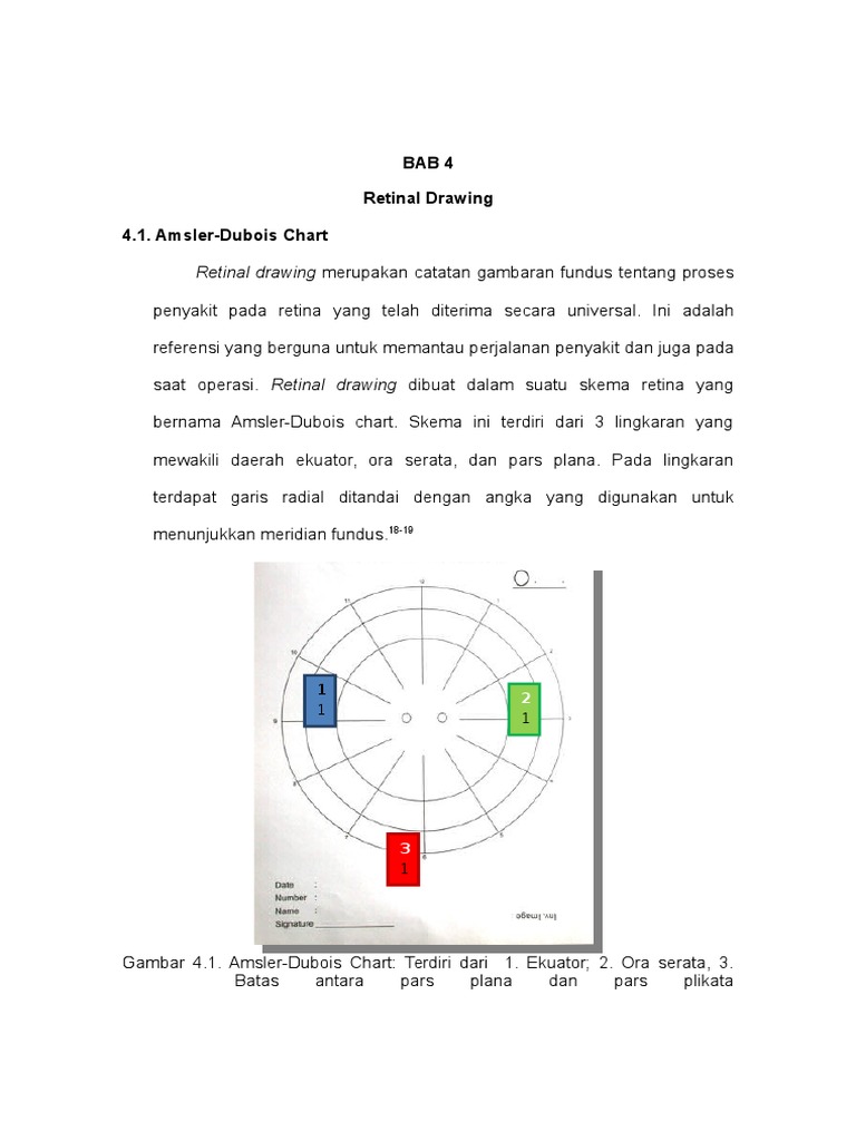 Retinal Drawing | PDF