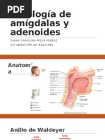 Hipertrofia de Amígdalas y Adenoides PDF | PDF | Enfermedades y ...