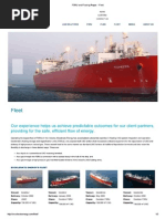 SIGTTO - Manifold Recommendations For Gas Carriers | PDF